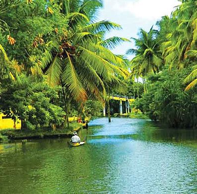 Kerala Backwaters | Tour Packages & Kerala Travel Guide