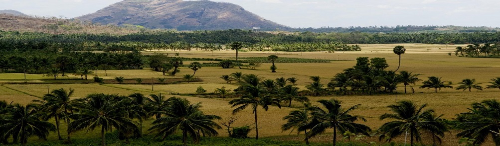 Palakkad Travel Guide Kerala - Top Attractions & How to Reach