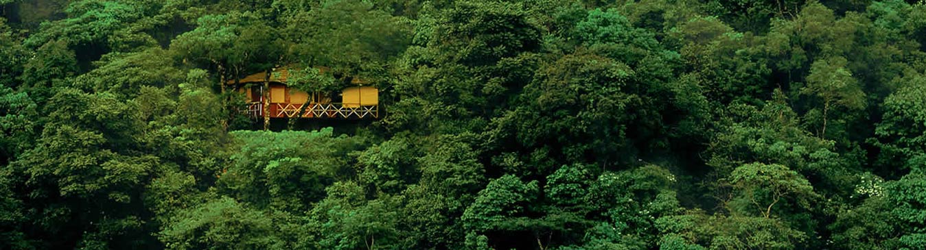 Vythiri Travel Guide | Things to do & How to Reach in Vythiri