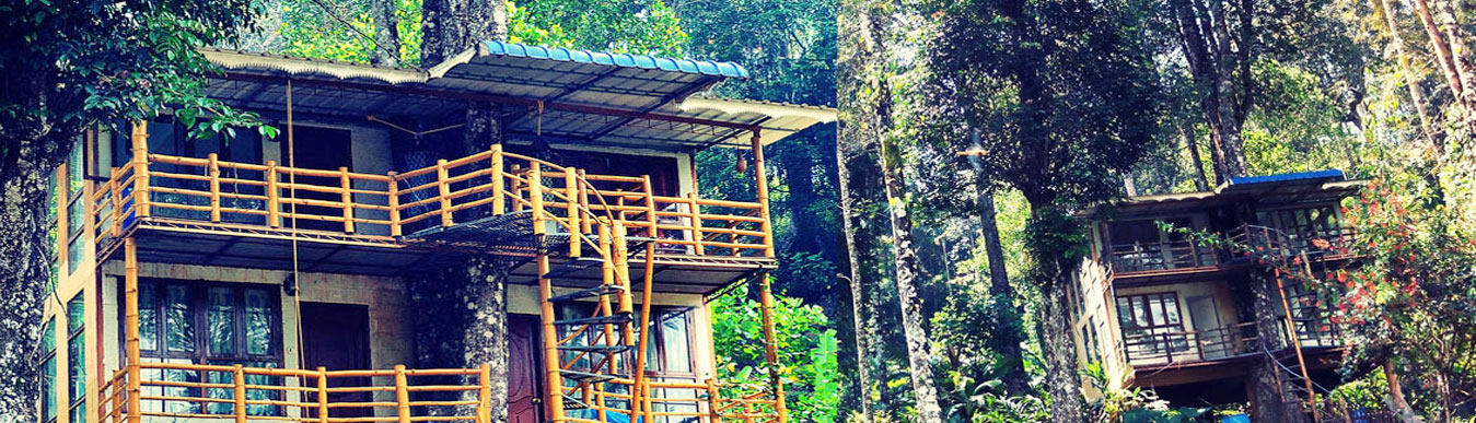 Jungle Tree House in Munnar | Munnar Tree Houses